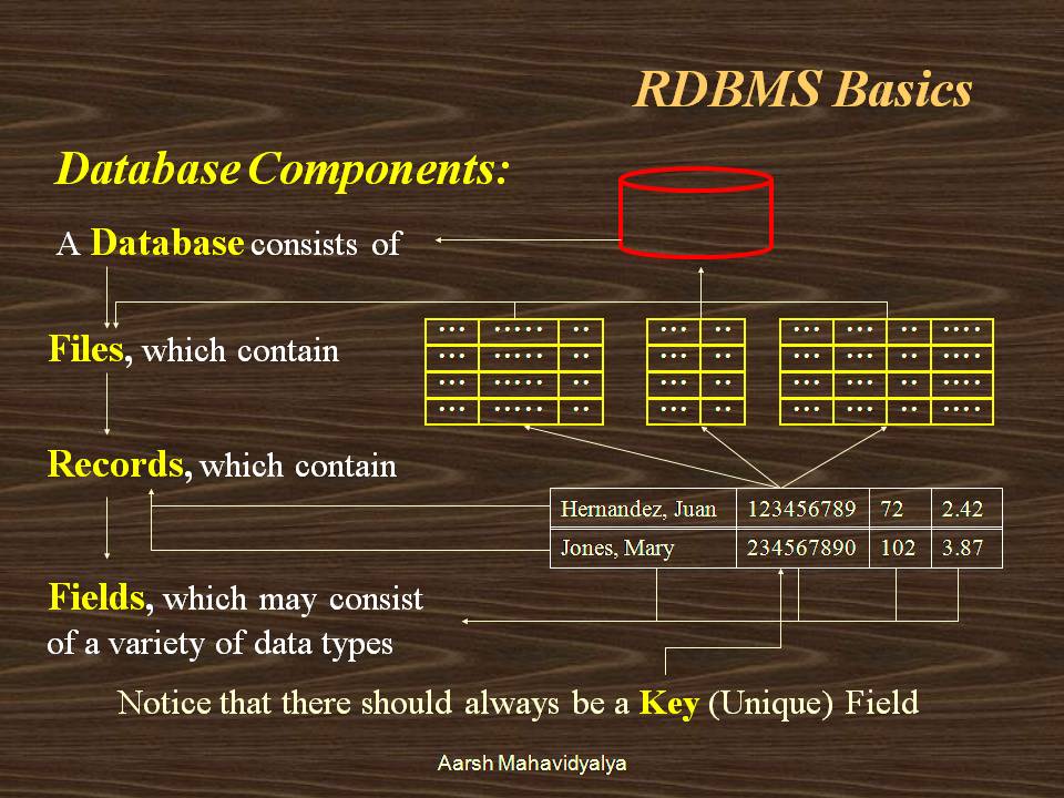 Rdbms Database