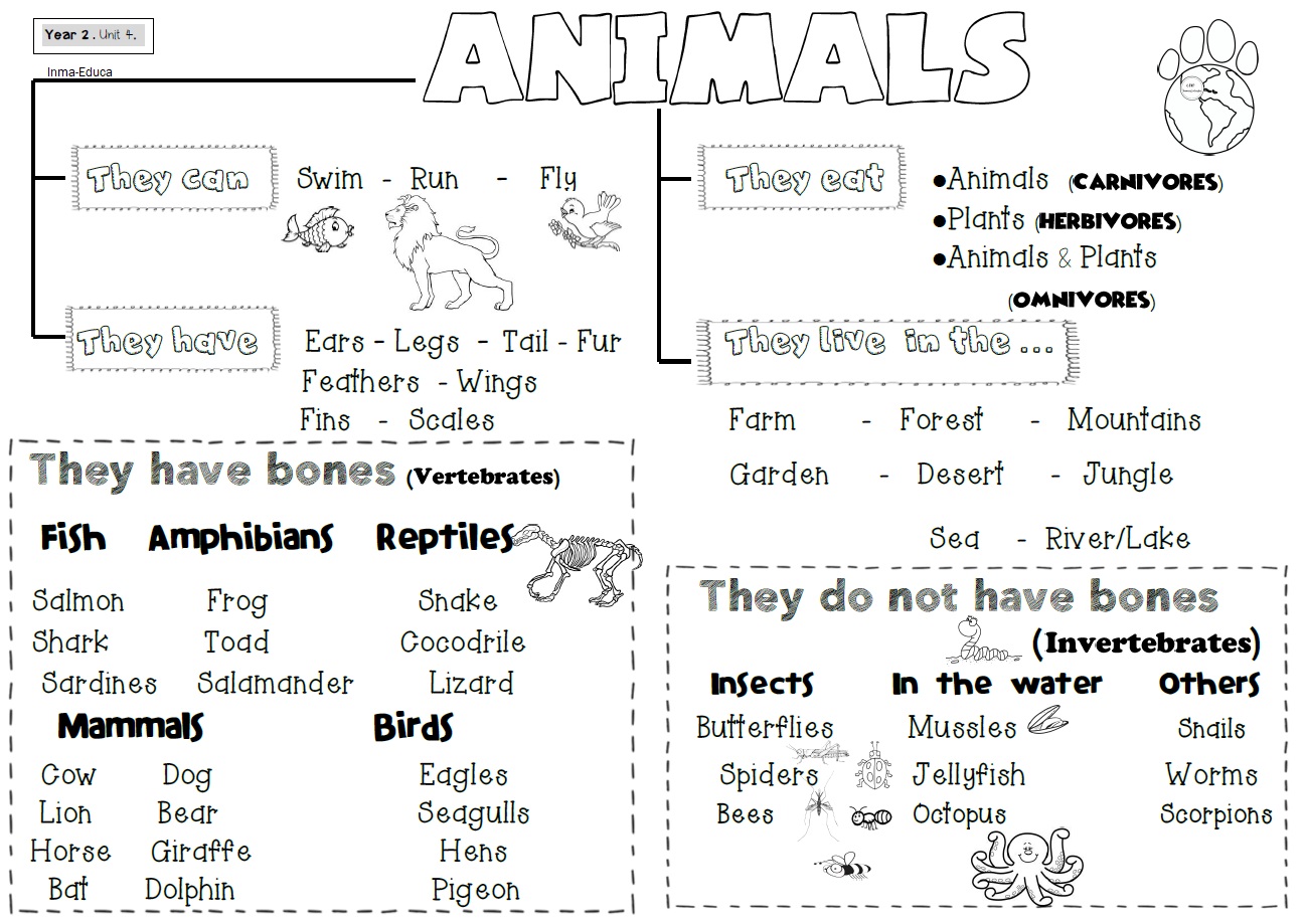 Primaria: Natural science. Unit 3 . Plants and animals.