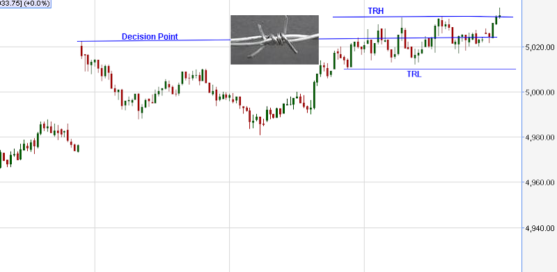 Nifty Nirvana: Barbed Wire
