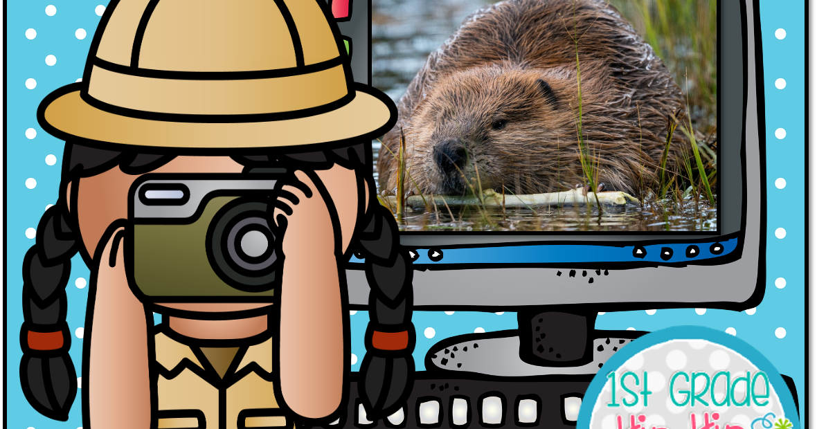 1st Grade Hip Hip Hooray!: The Beaver...Read and Write...Distance Learning!