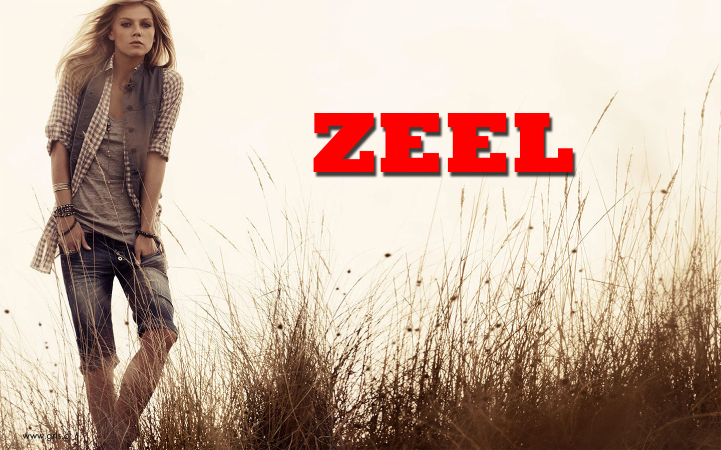 Zeel Pakistan: Zeel Pakistan