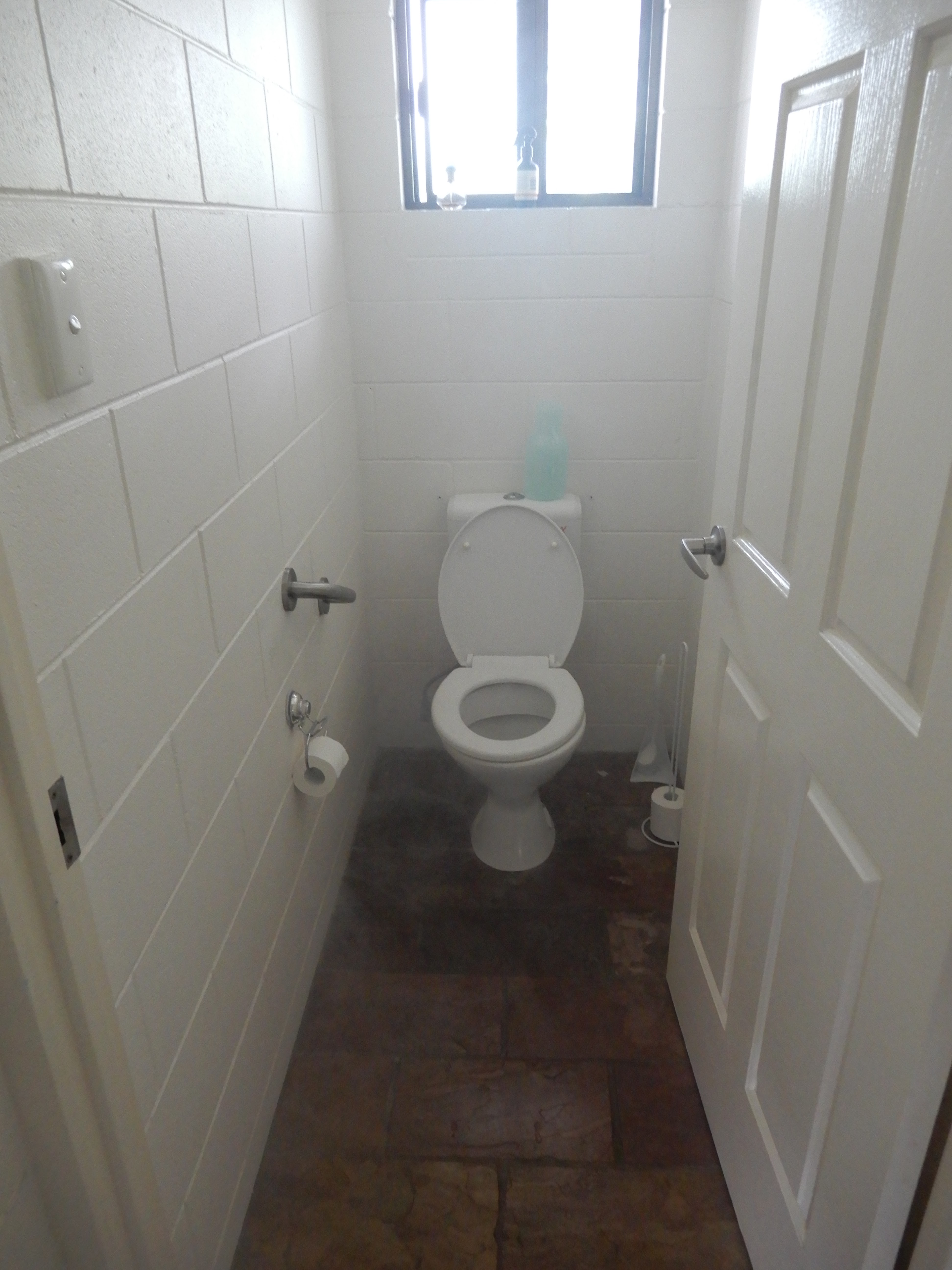 Little Darwin: WHAT NEXT ? EXPLODING TOILETS