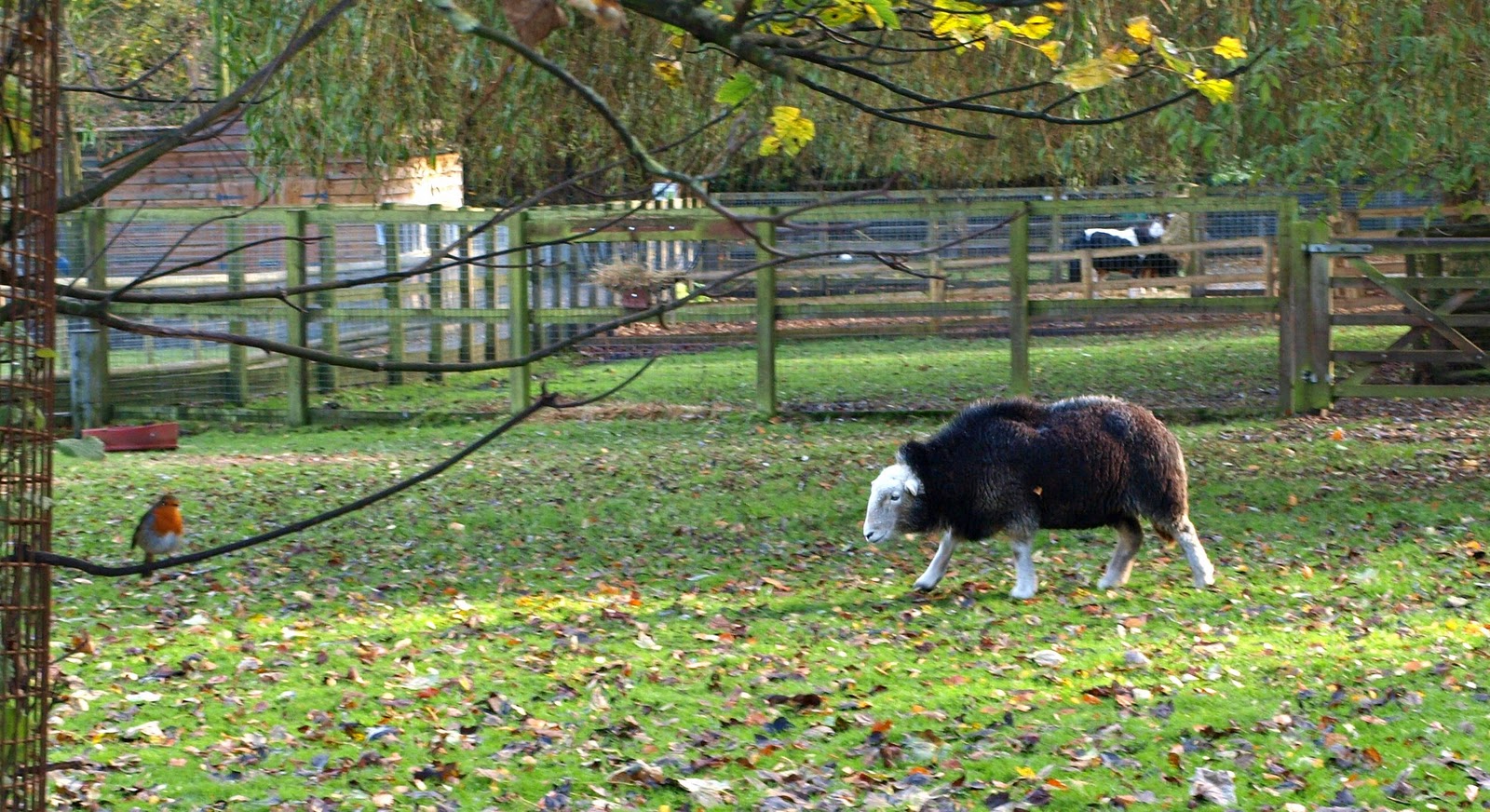 Mark's Veg Plot: Walton Gardens