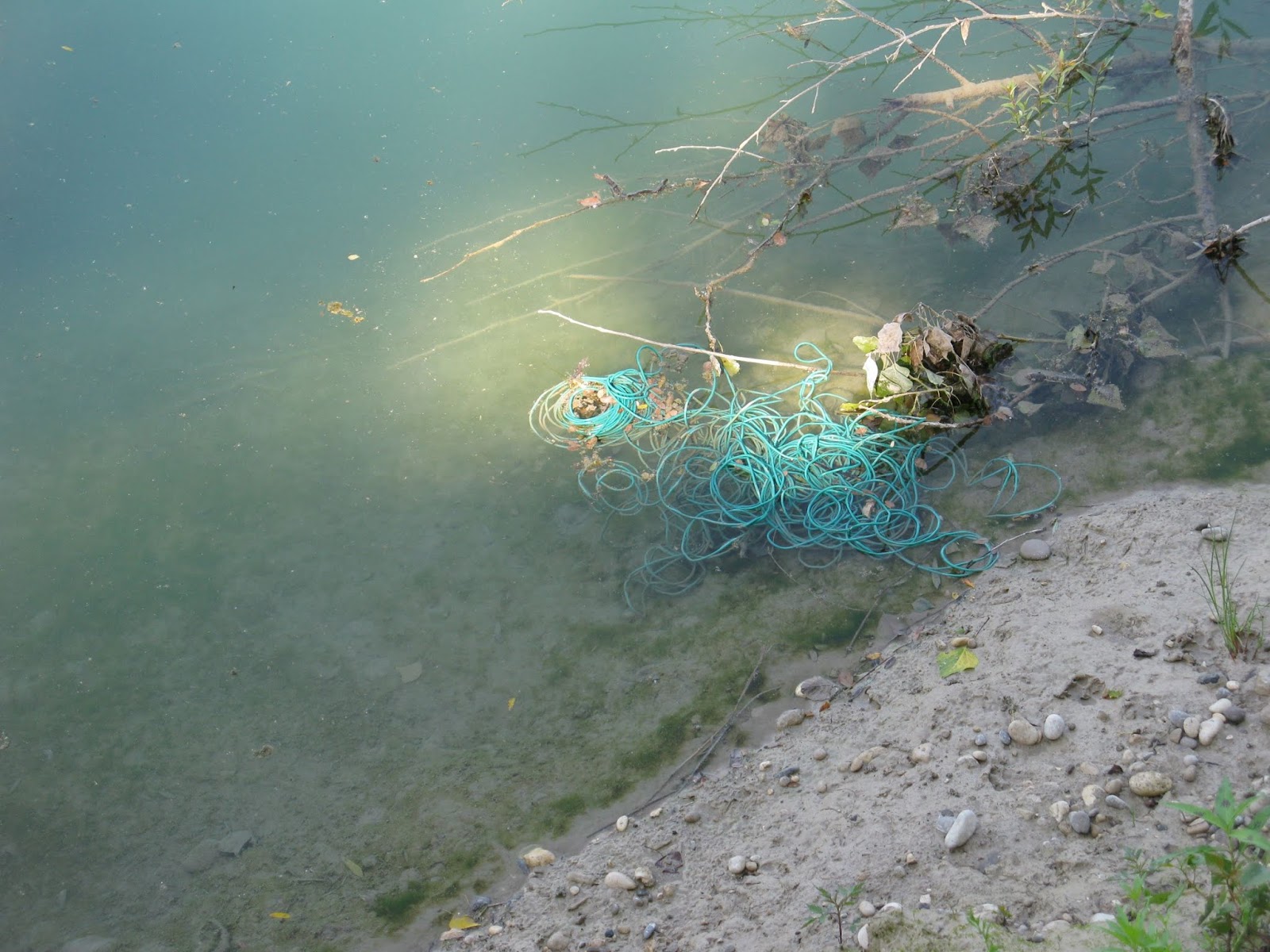 tra la PIAVE e la NEGRISIA: ASPETTI DI DEGRADO DELL'AMBIENTE