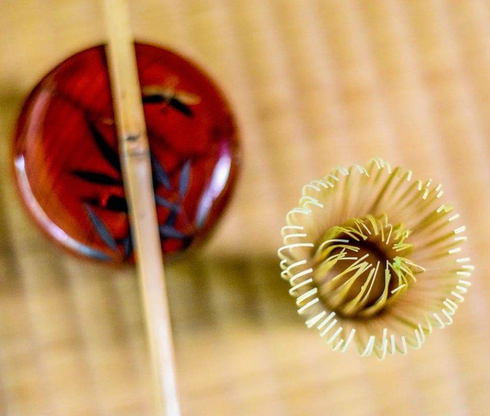 You Are Invited to Tea Ceremony at Nara, Japan