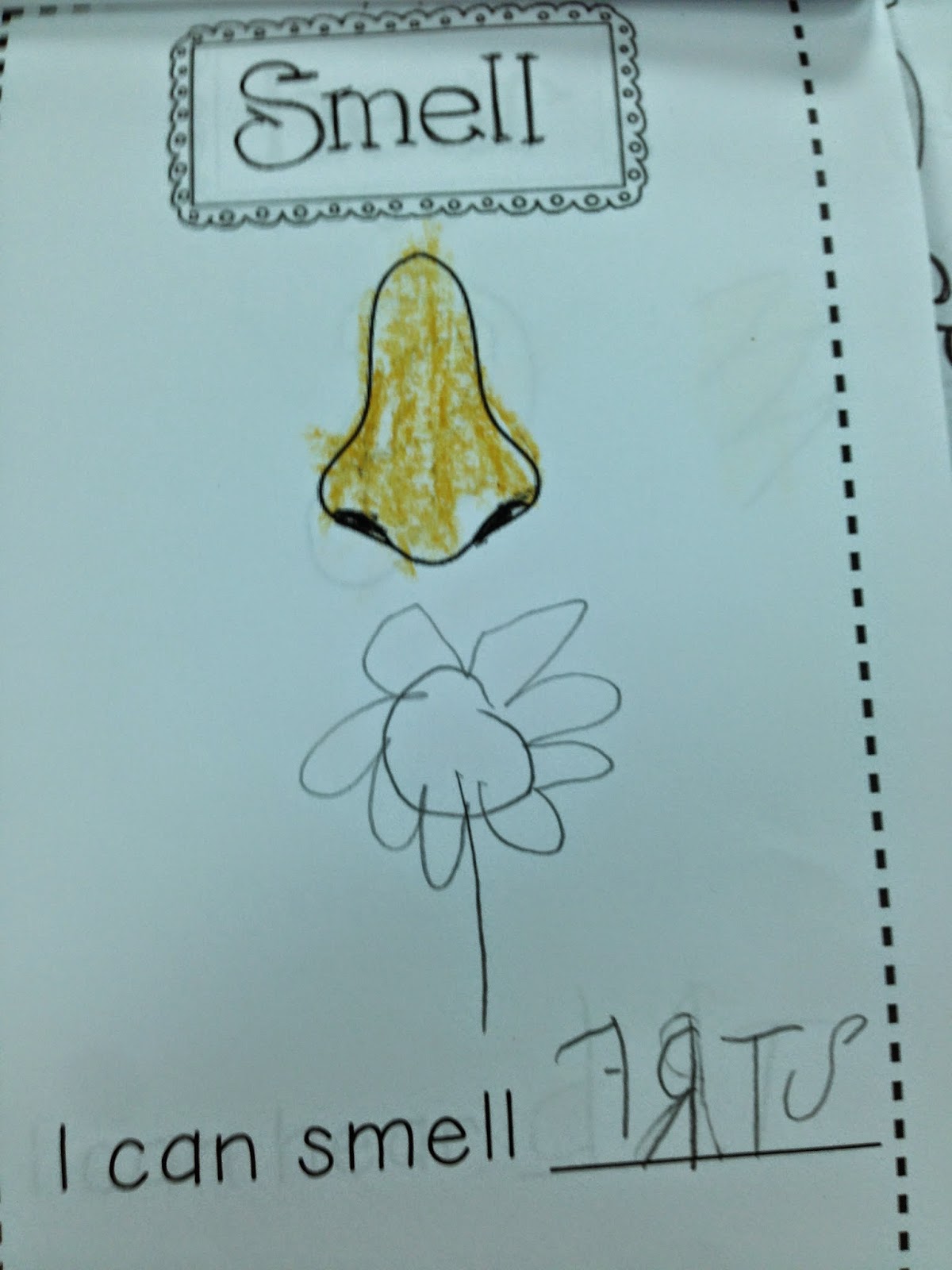 The Adventures of a K/1 Teacher: Exploring Our 5 Senses