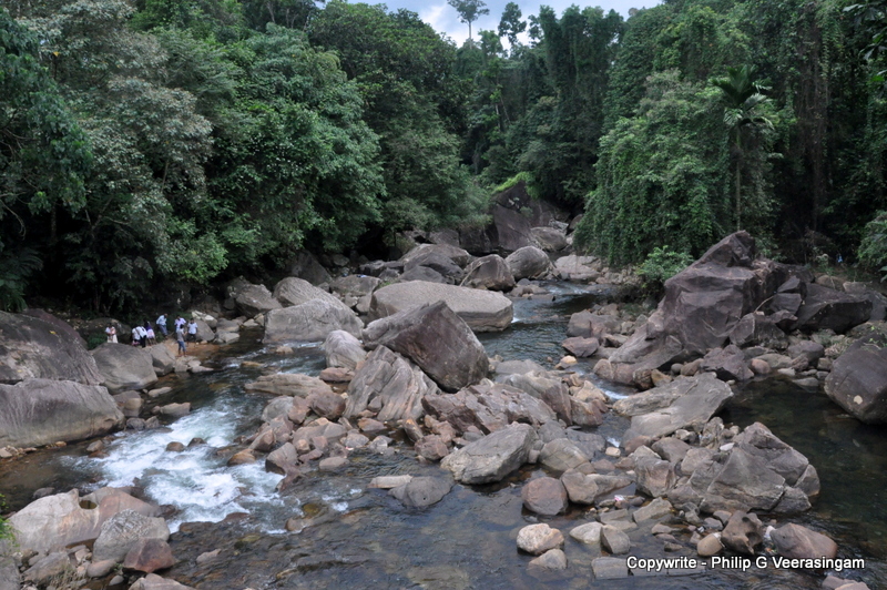 philipveerasingam: 'Rath,ganga' off Galaboda Estate, Rathnapura, Sri Lanka.