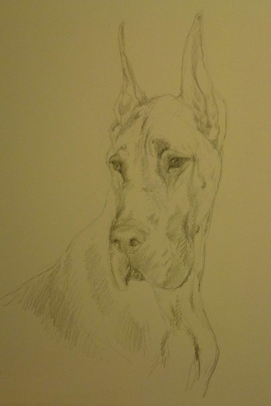 Maren Phillips: GOING PLACES