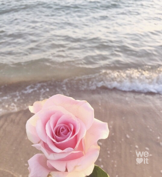 Blog da Renata Princess : O que eu diria para a Renata Princess do passado?