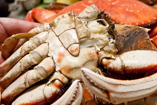 FOODjimoto: Dungeness Crab Appetizer Plate