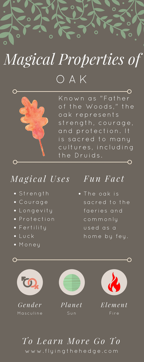Flying the Hedge: Magical Properties of Oak