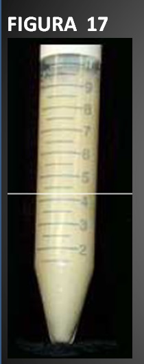 MANUAL DE BIOTECNOLOGIA REPRODUCTIVA EN BOVINOS: MANEJO REPRODUCTIVO ...