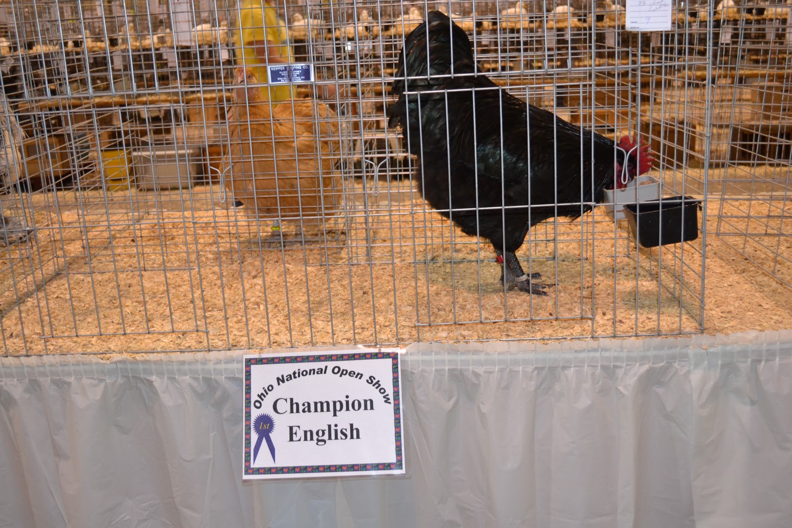 Ohio National Poultry Show: Ohio National Winner Photos