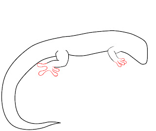 How To Draw A Gecko - Draw Central
