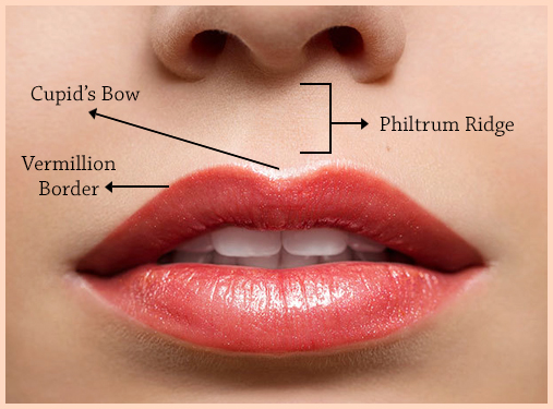 Selston Cosmetic Clinic: Add Volume & Shape To The Lips With Dermal ...