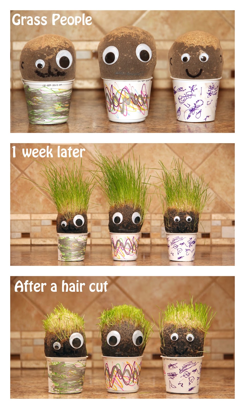 Gummy Bears and Pony Tails: Grass People