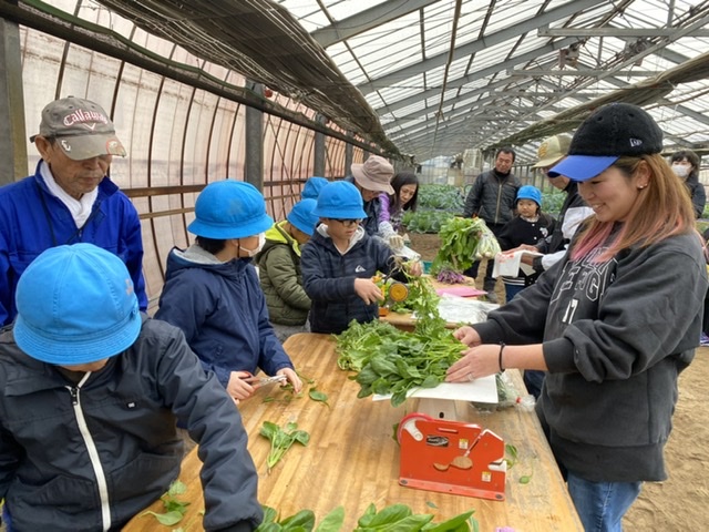 学校日記: 1219 宇佐美農園見学（3年）