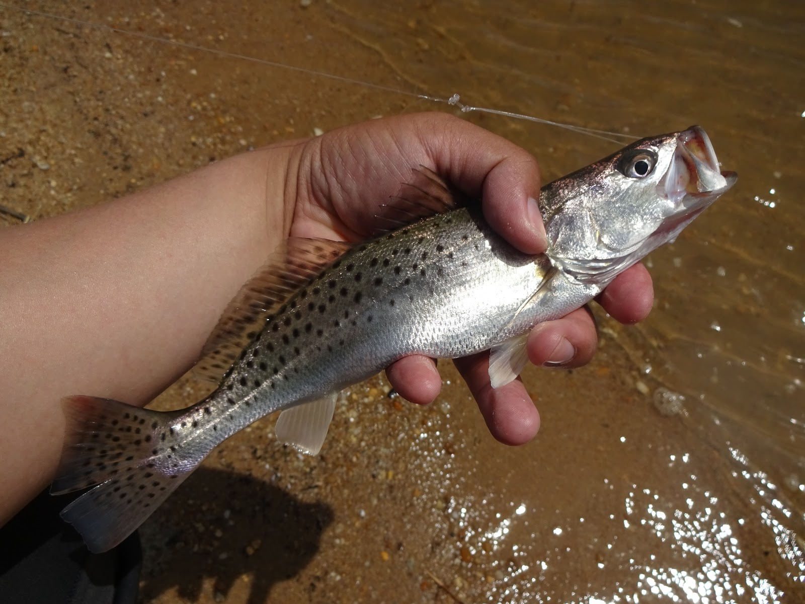 Extreme Philly Fishing