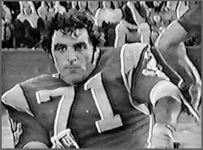 INNER TOOB: THE LEAGUE OF THEMSELVES - THE CALIFORNIA WILDCATS