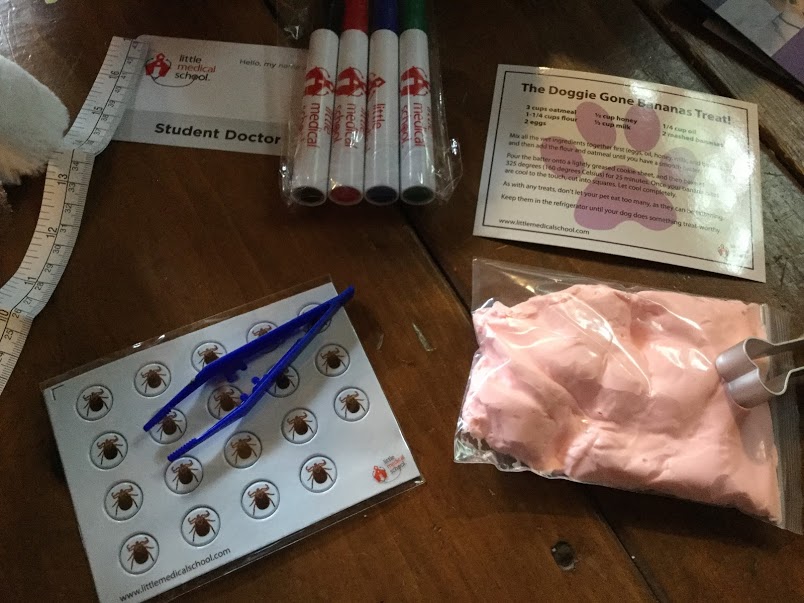 Inspired by Savannah: The Mini Medical Kits from Little Medical School ...
