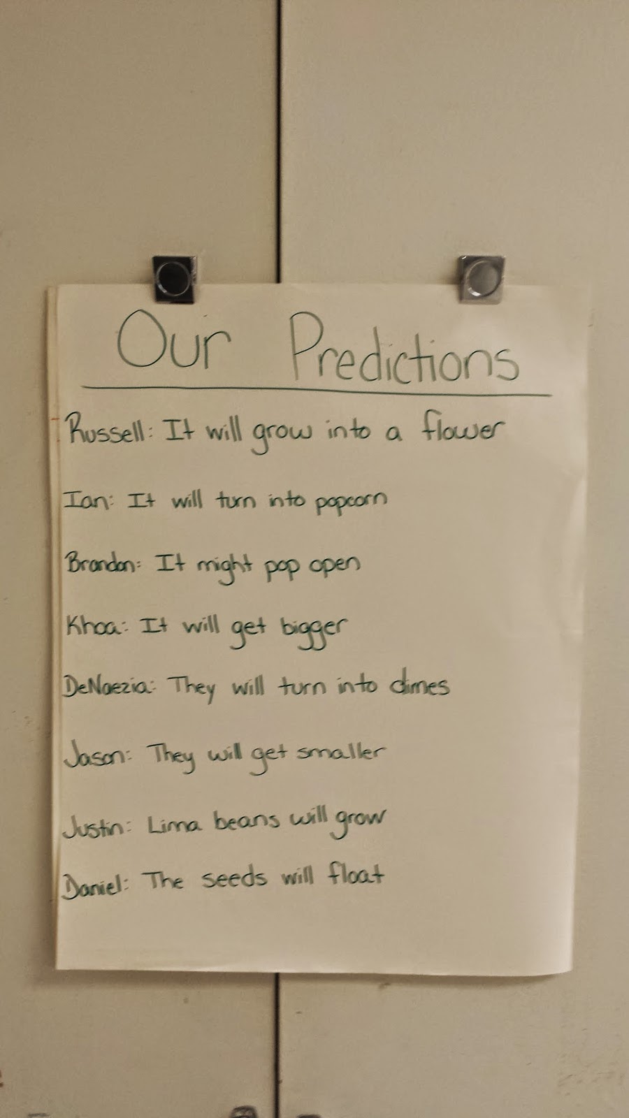 Easy hands on science lesson: Seeds · Mrs. P's Specialties