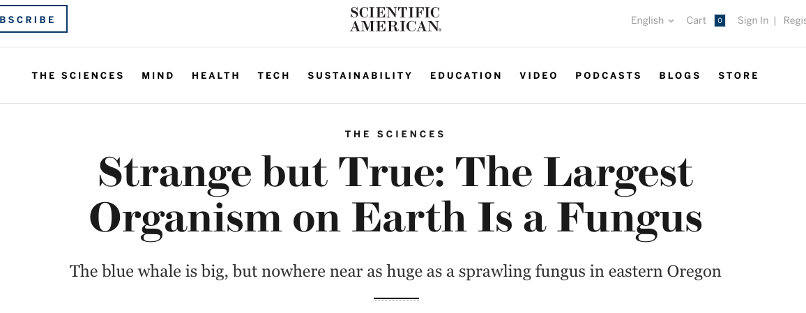 Anim8Nature: Animating Fungus: You Have to Be Kidding