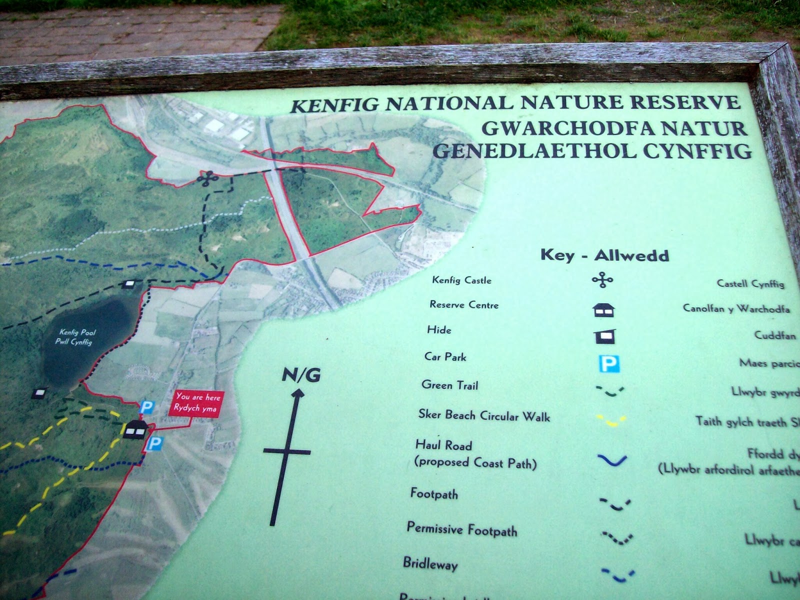 Random Daily Walks: Kenfig Burrows