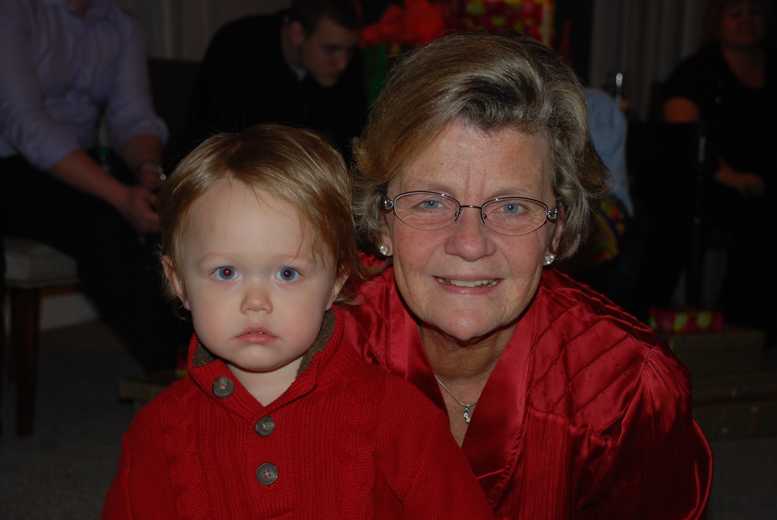 The Karaffa Family: van wingerden christmas