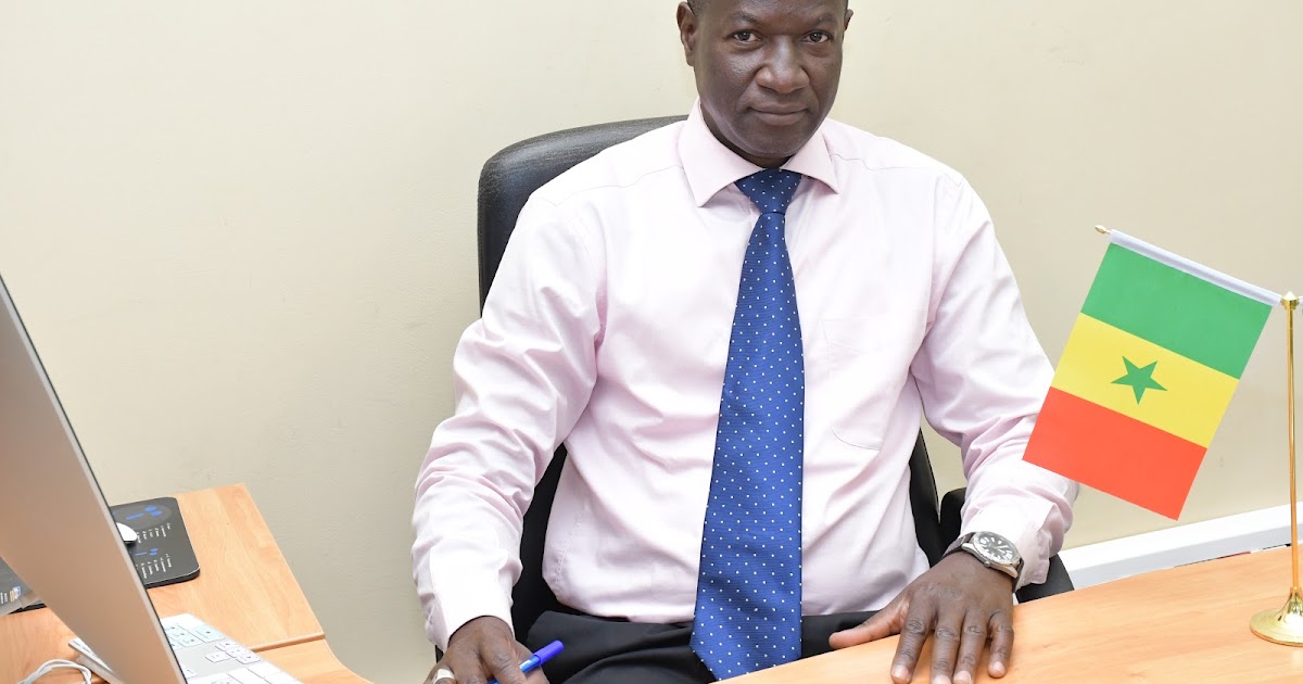 LE JOURNAL DE MAMADOU LAMINE MANE: Profil