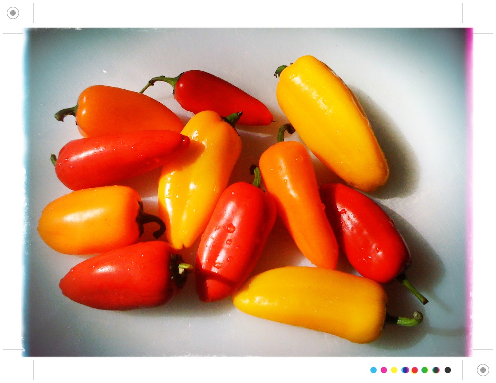 Antipasto of mini capsicums stuffed with feta cream