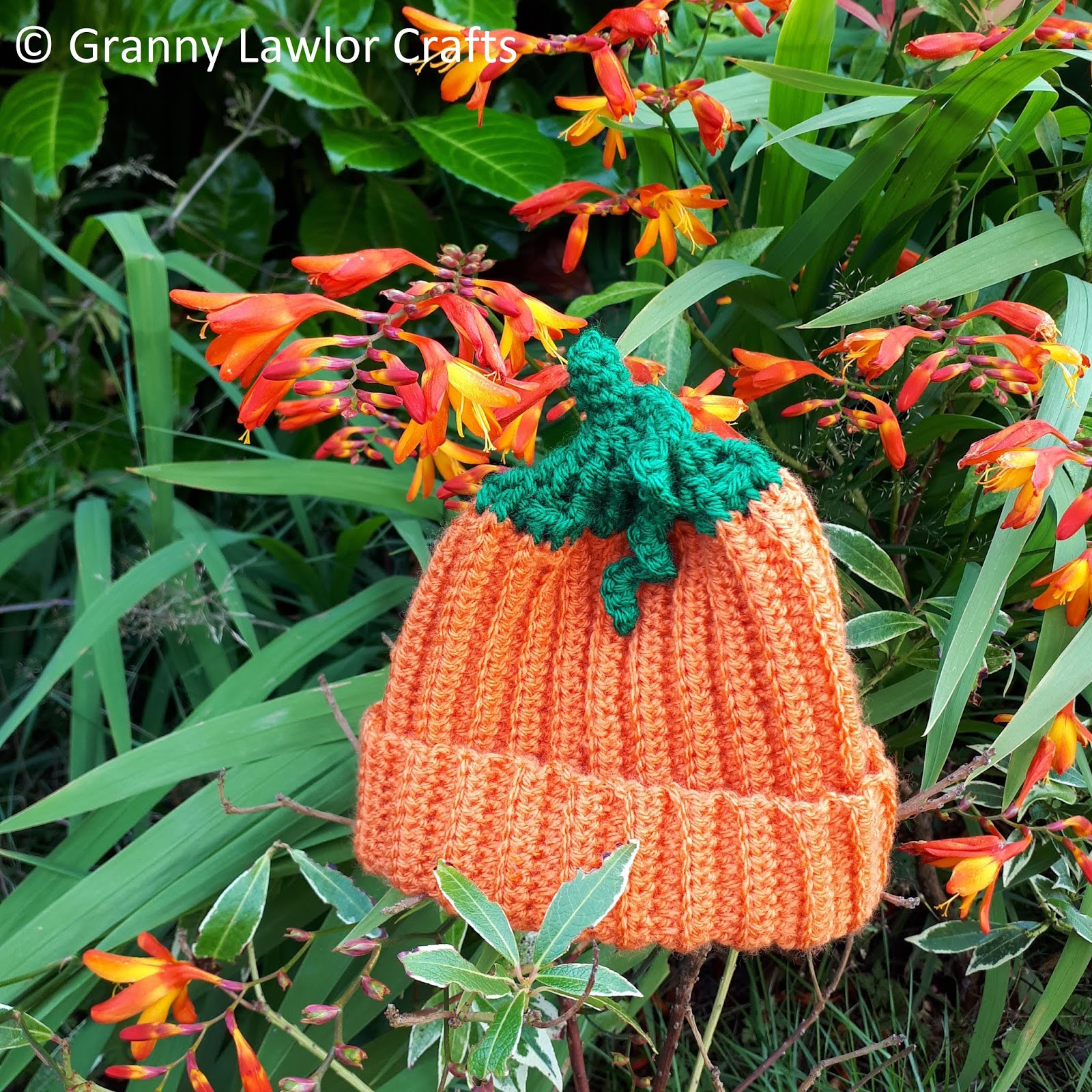 Granny Lawlor Crafts: Pumpkin Hat