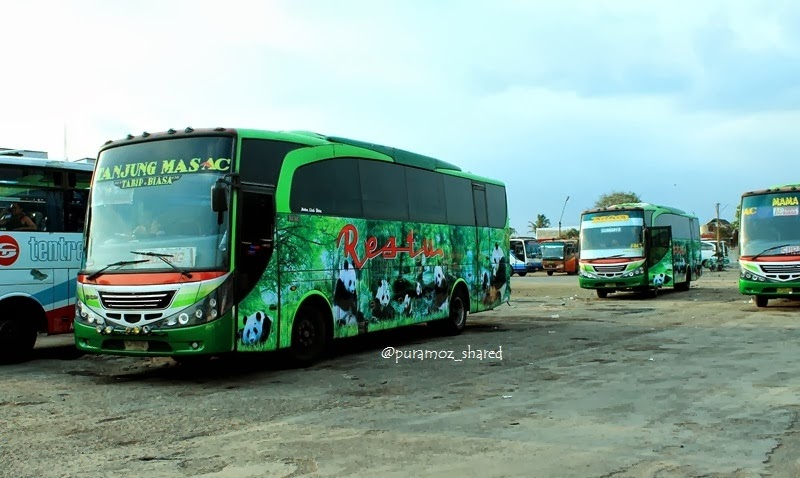 Kumpulan Foto Bis Restu Panda Arjosari Malang - Kumpulan Foto Bis