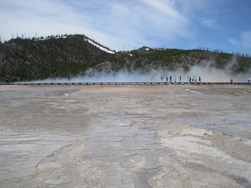 The Scallywagon: YOU SKIN GRIZ', PILGRIM? Yellowstone National Park