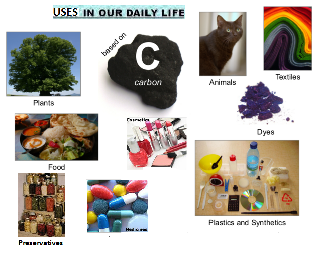 Exam Point Of View Questions: Carbon and its compounds (10th std. CBSE)