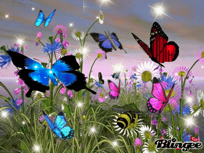 Tempestad en el corazón: COLORIDO Y BELLEZA Tempestad en el corazón: COLORIDO Y BELLEZA