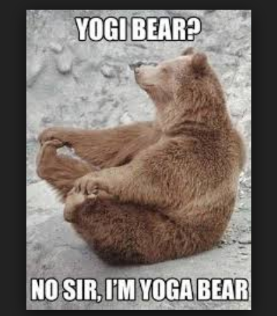 40+ Hilariously Funny Yoga Memes