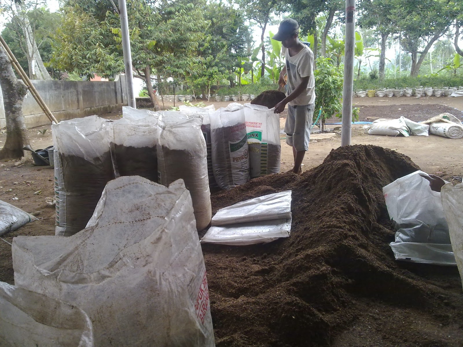 Definisi dan Pengertian Pupuk Organik - Tani dan Ternak Organik