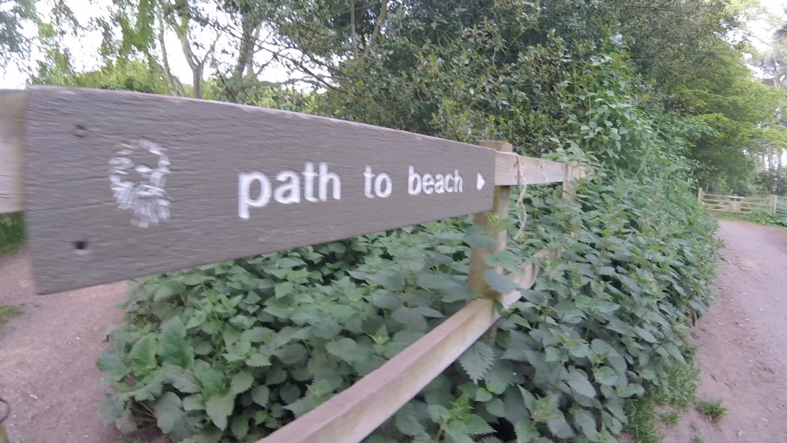 coastrider: Midweek Cycle; Offshore Sea Haar at Tyninghame...