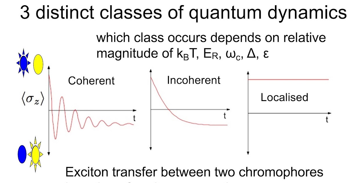Condensed concepts: Tutorial on modelling quantum dynamics in biomolecules