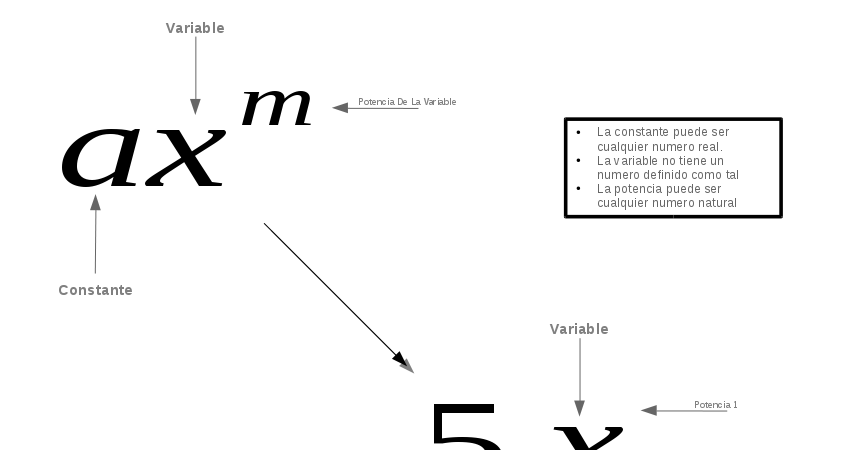 Conceptos Básicos Del Algebra