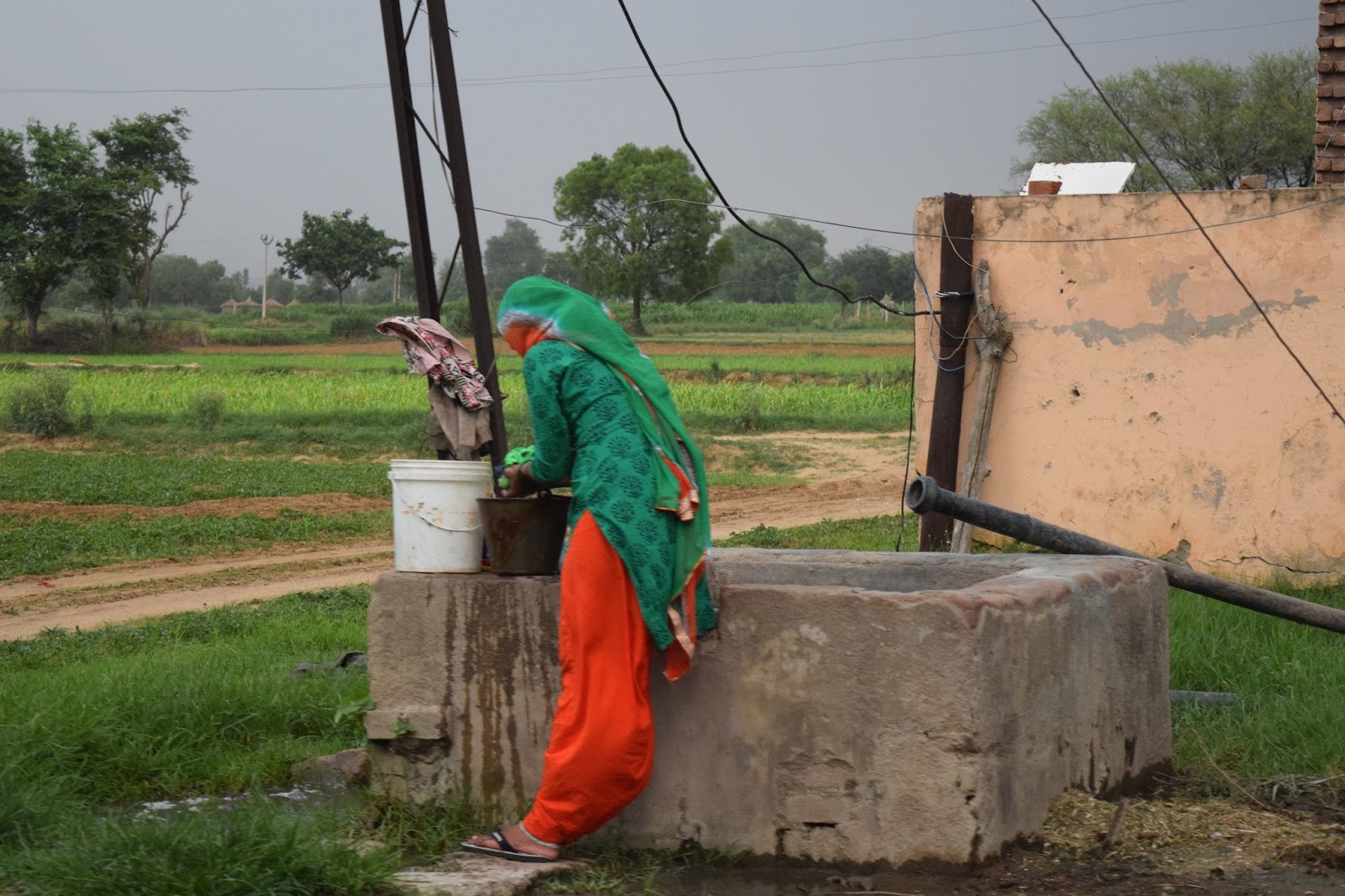 For a Change, Defend-2015 : Tree Plantation Day on July 1st