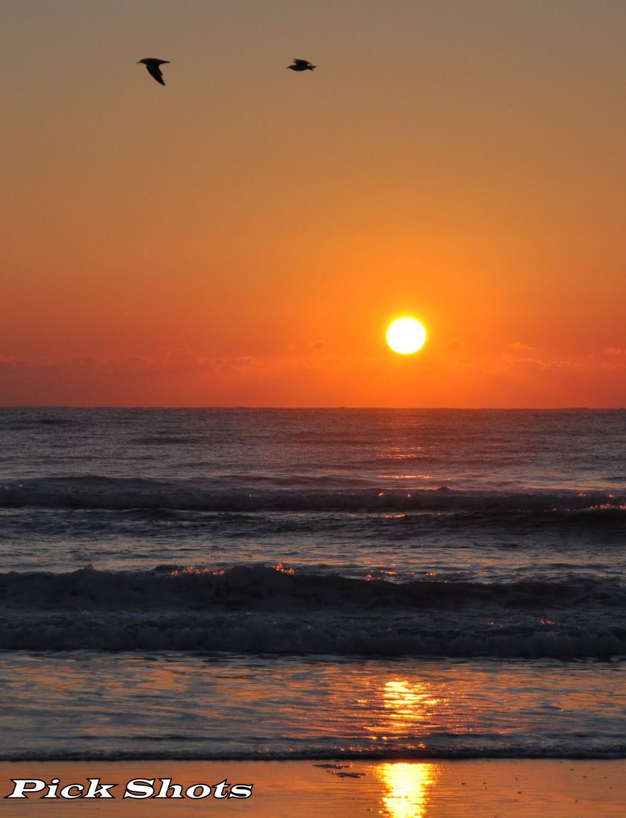 Pick Shots: Sunset and Sunrise scenes