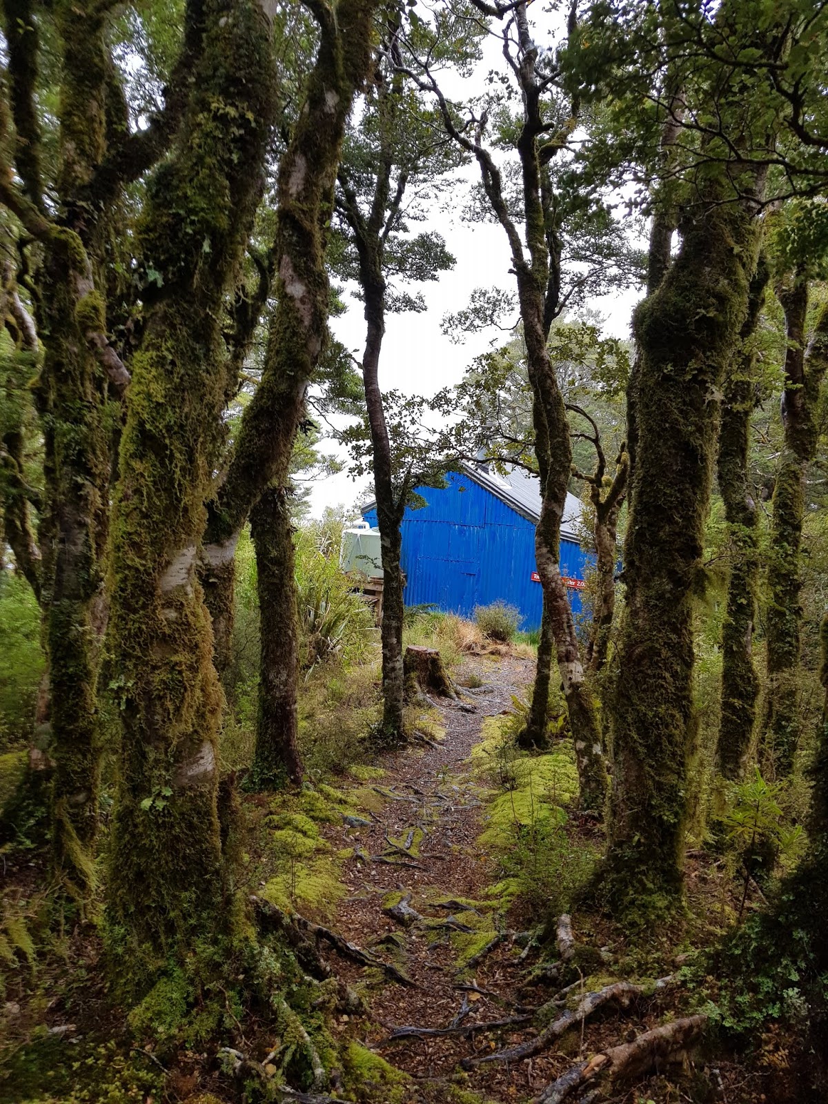 Tramping the Tararuas: Blue Range Hut