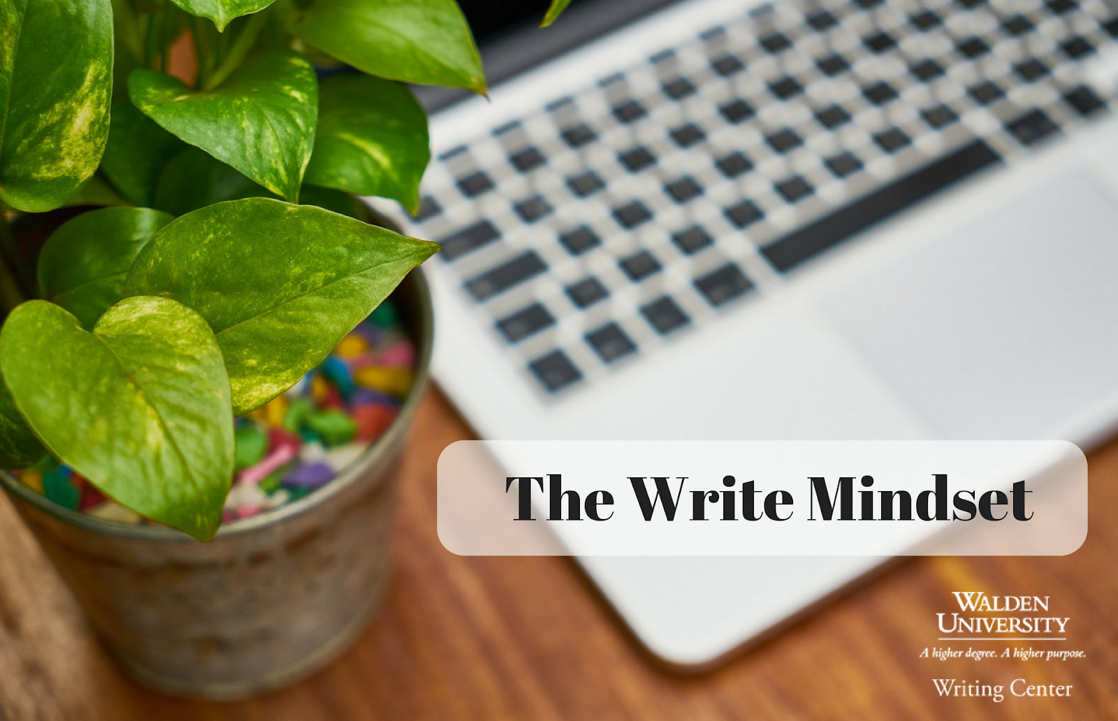 The Write Mindset: Creating Mindful Writing Spaces