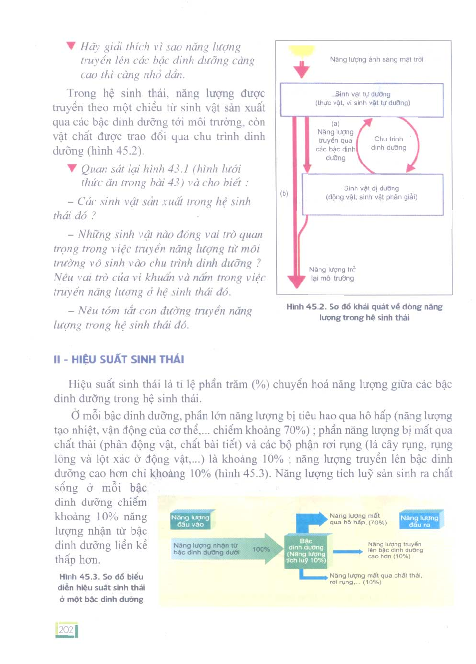 Bài 45: Dòng năng lượng trong hệ sinh thái và hiệu suất sinh thái - Downloadsachmienphi.com