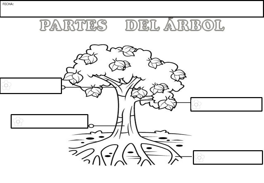 La clase de los Marcianitos: Partes de un árbol