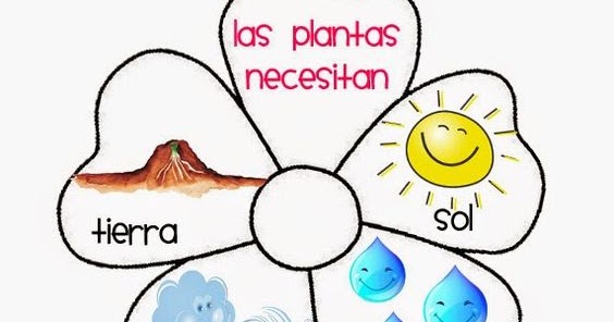 La ventana de mi clase. 1º de Primaria: ¿Qué necesitan LAS PLANTAS para ...