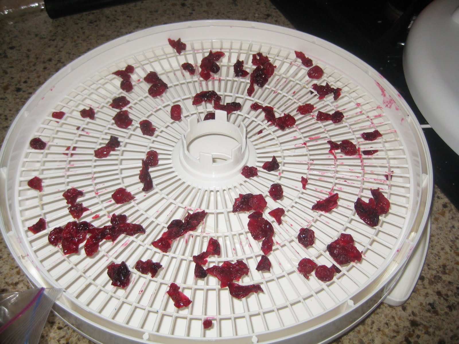 Kerstin's Kitchen: Make your own craisins!