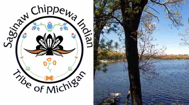 White Wolf : The Saginaw Chippewa Indian Tribe of Michigan to buy part ...