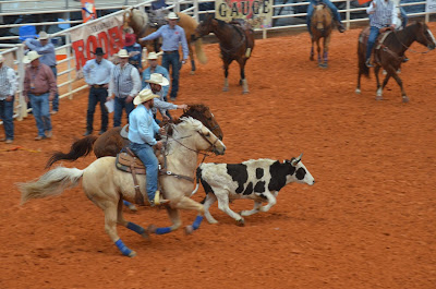 the other paper: Arcadia All-Florida Championship Rodeo Is A Bucking ...